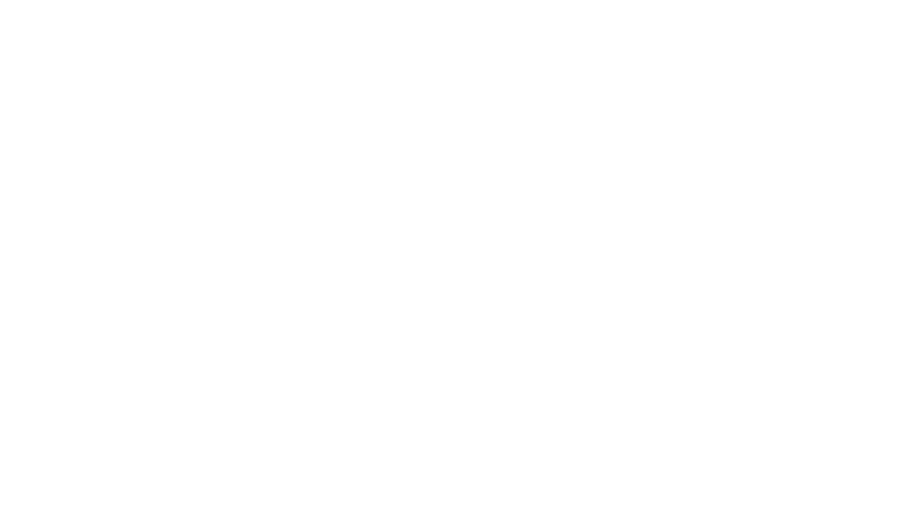 Fenyx IT Academy – a new life in a new world